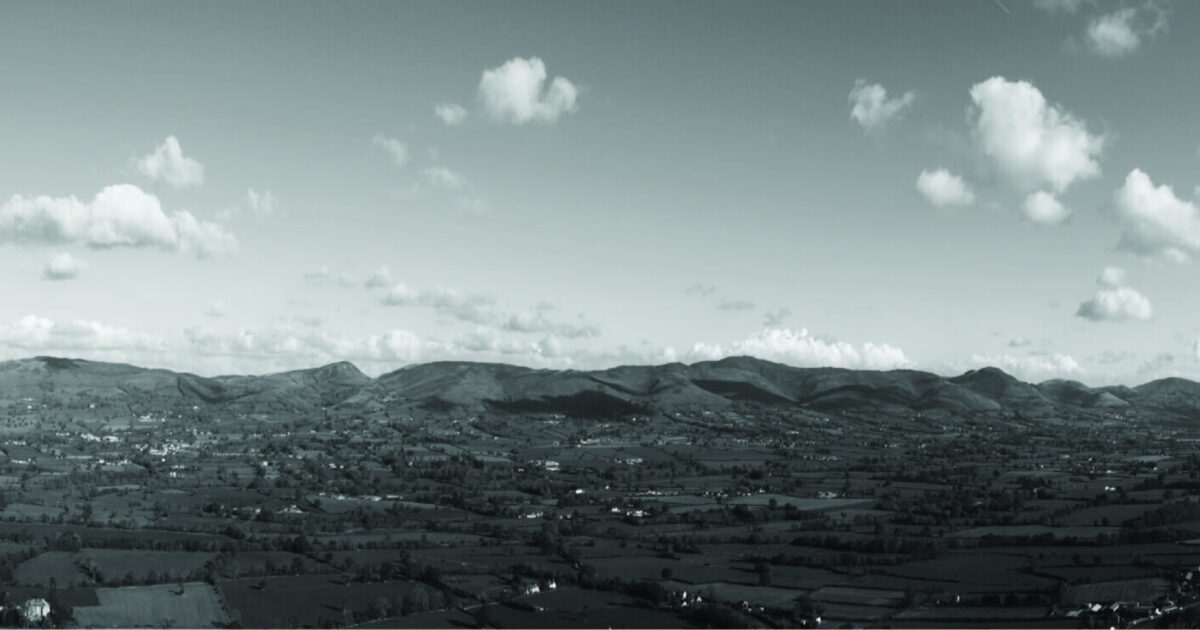 Henllan Bakery | products